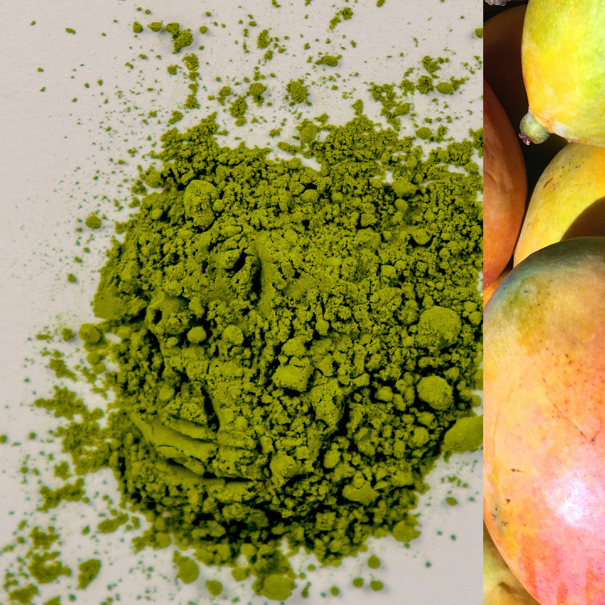 Organic Mango Matcha - Exoticism & Energy | Mystea