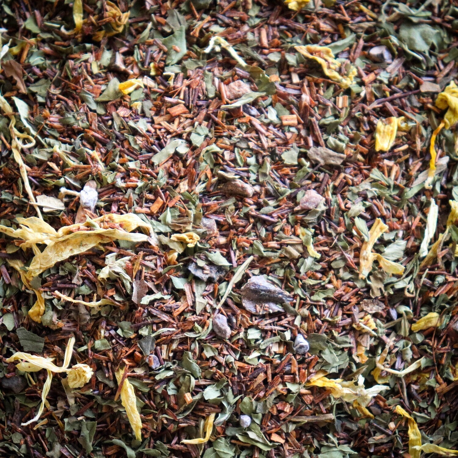 Rooibos Choco-Menthe - Gourmet and Refreshing Herbal Tea | Mystea